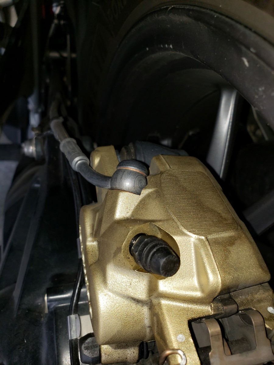 2019 R1250RT rear caliper (Brembo) weeping vent screw - ShiftCam ...