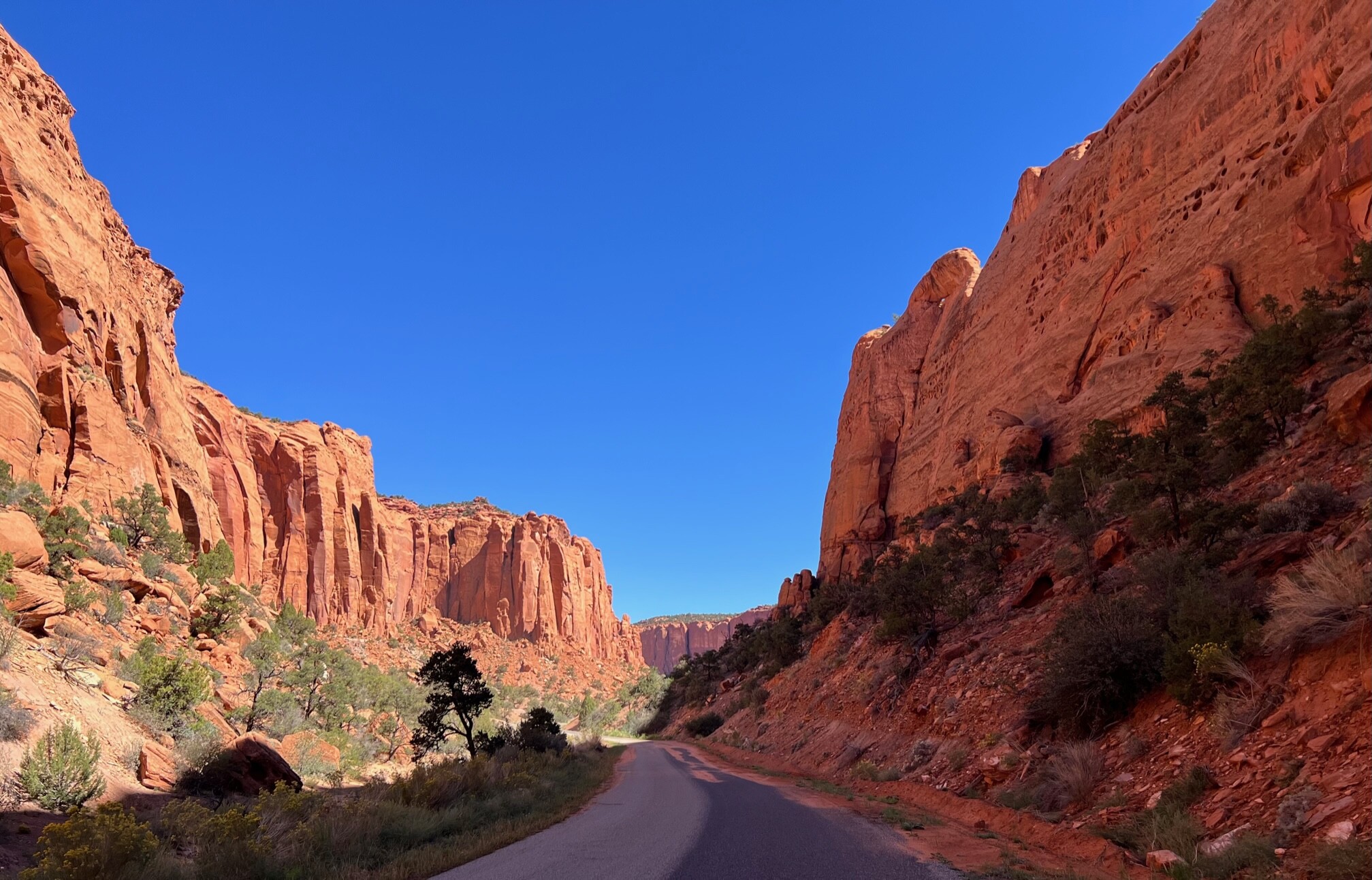 Pics around fall torrey 2022 - 2022 - BMWSportTouring