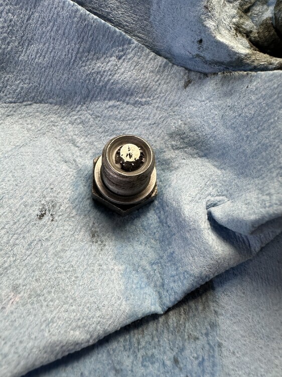 Final drive drain plug metal bits - Oilheads - BMWSportTouring