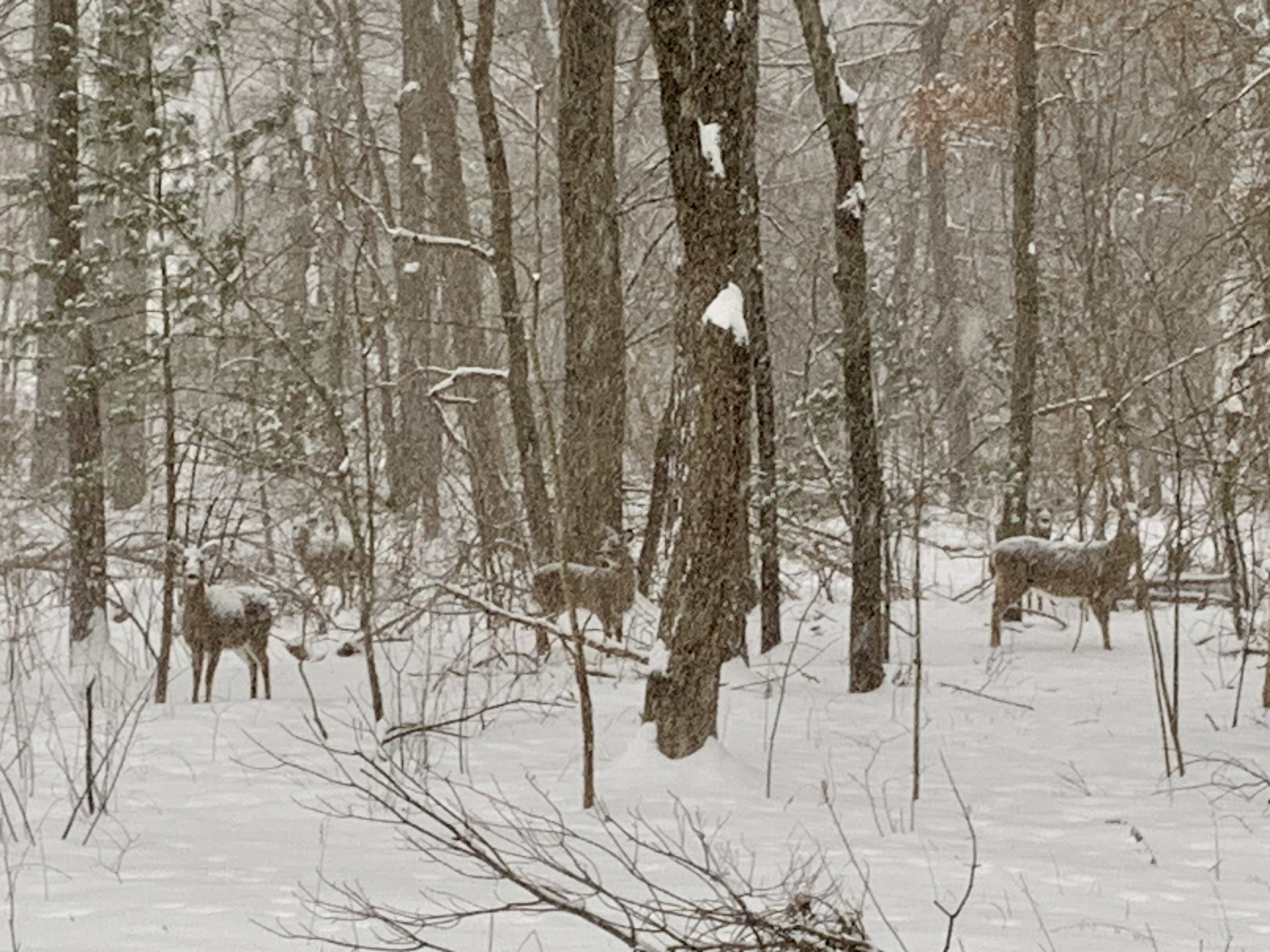 Right Now! - Page 85 - Riders Discuss Other Topics - BMWSportTouring